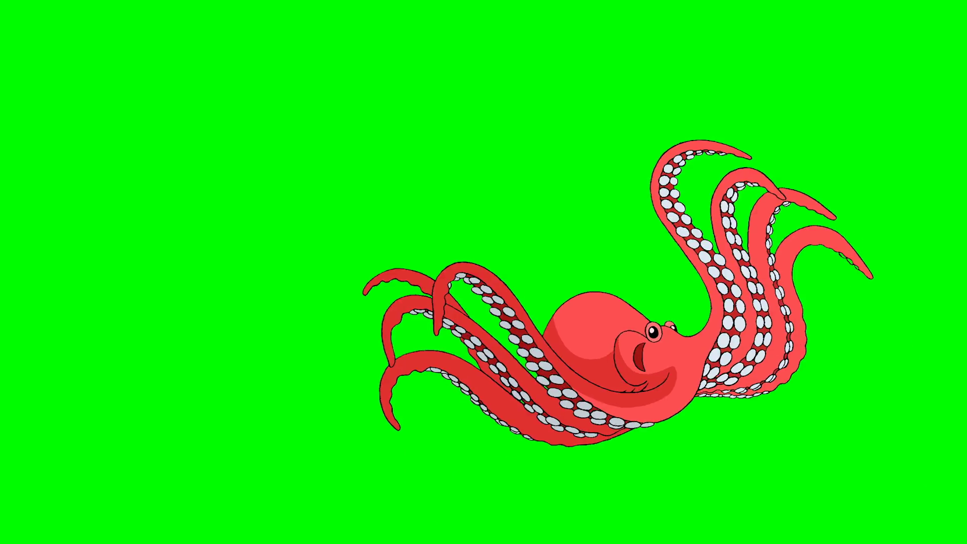 Octopus Swims Underwater Chroma Key Animation Stock Motion Graphics SBV ...