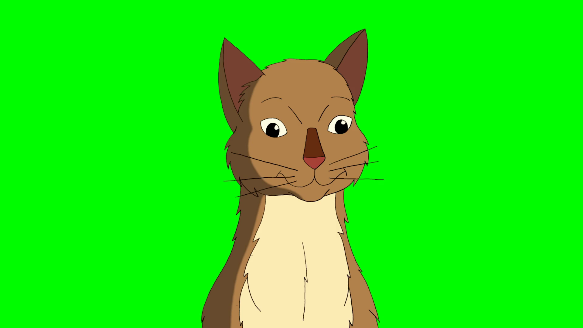 Red Tabby Cat Meows Chroma Key 4k Stock Motion Graphics SBV-347353549 ...