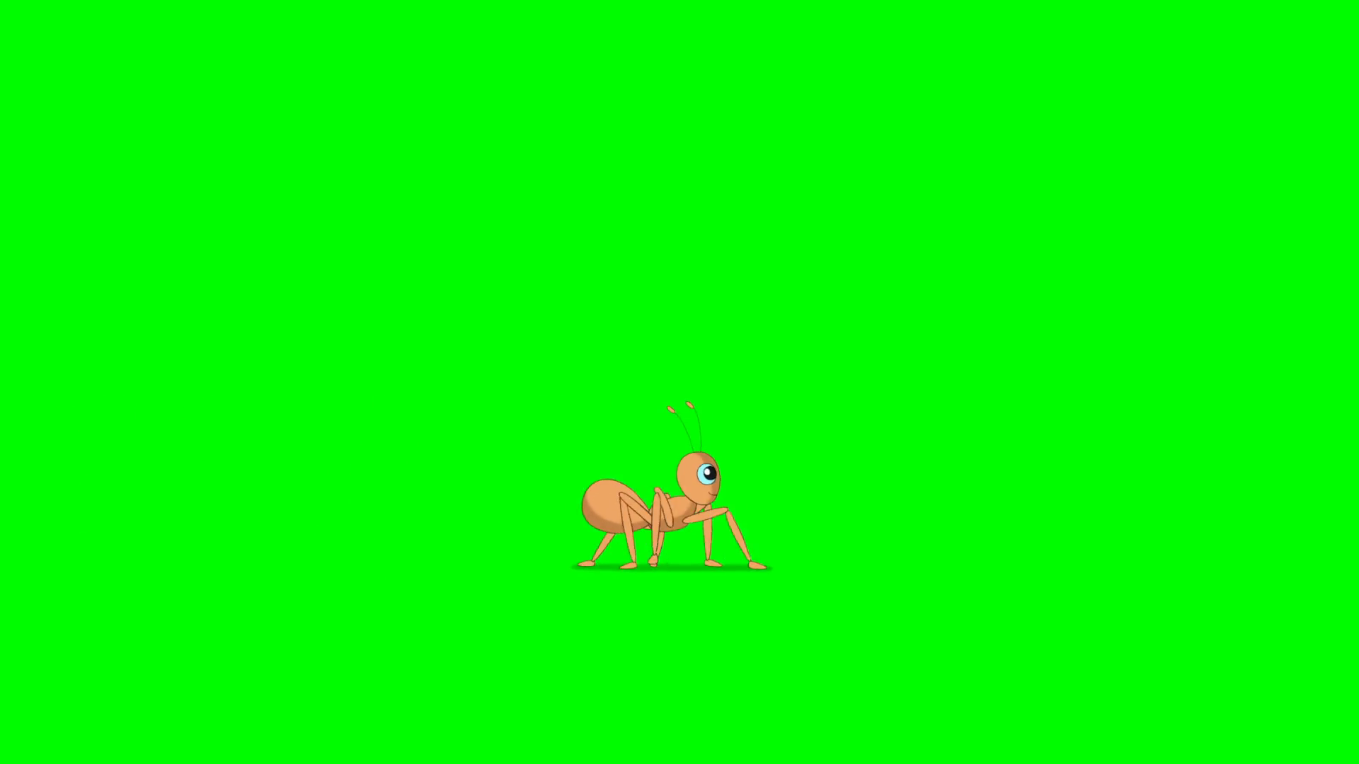 Running ant Motion Background - Storyblocks