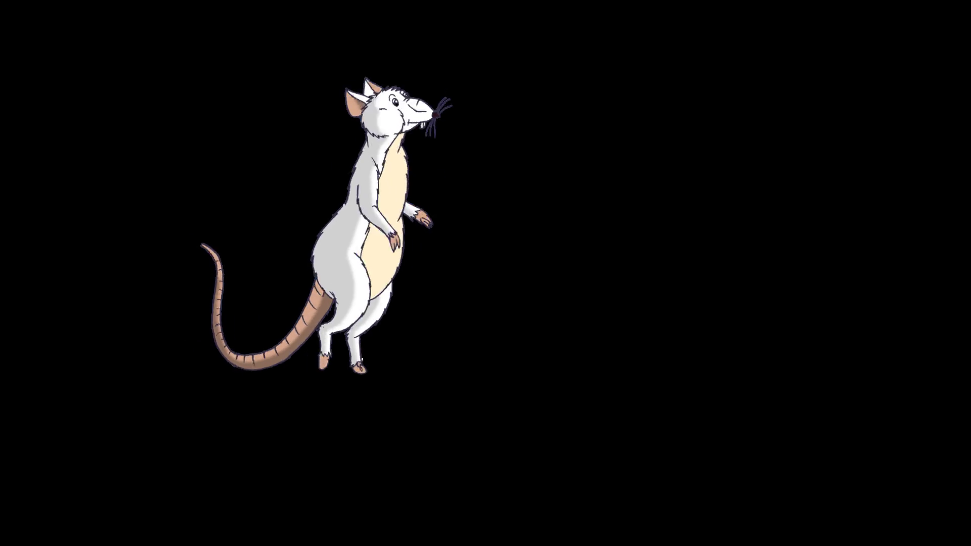 White Rat Gets Up Sniffs Animation Alpha Stock Motion Graphics SBV ...