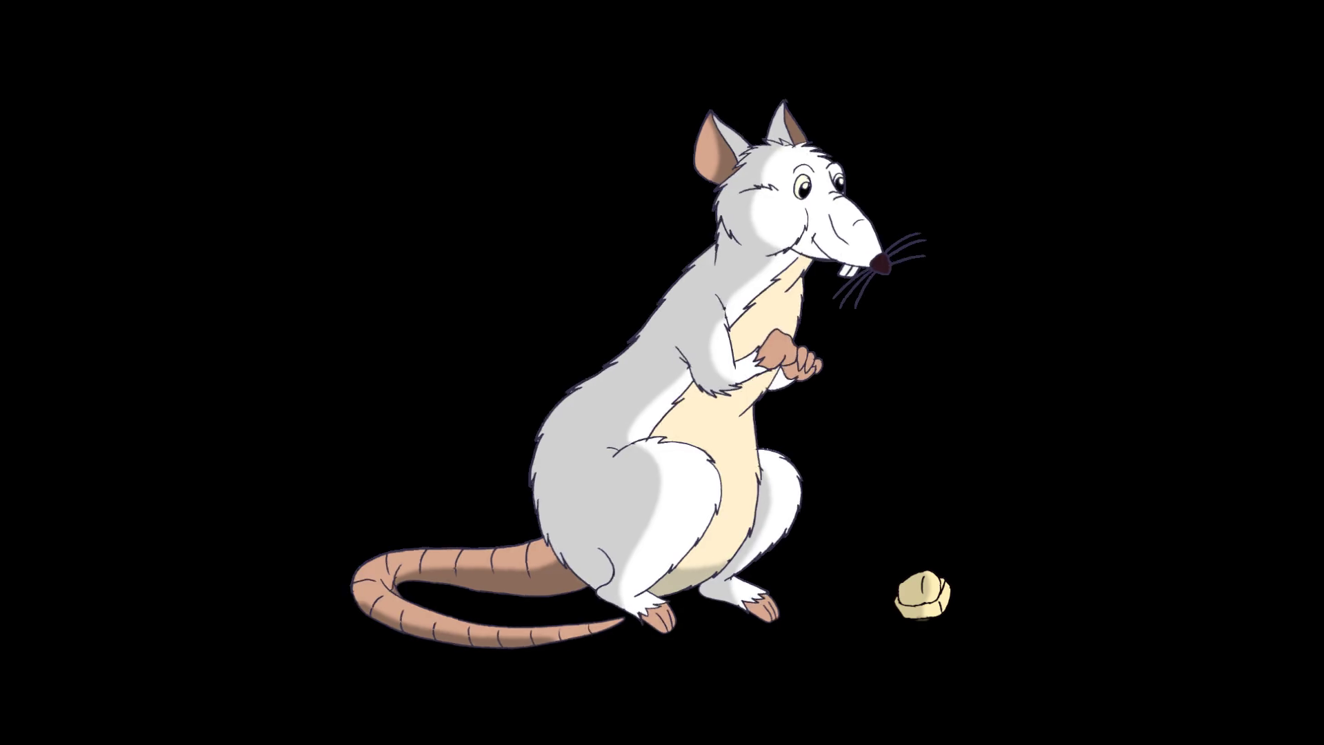 White Rat Sits Eats Cheese Animation Alpha Stock Motion Graphics SBV ...