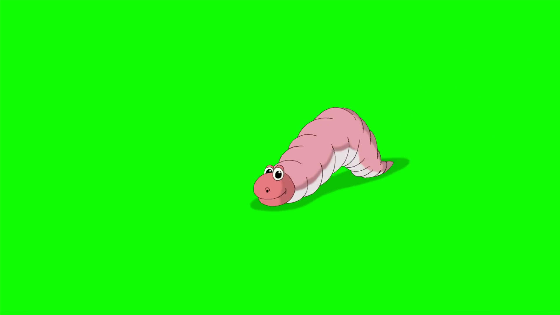Animated Worm Crawling Across Screen (chroma Stock Motion Graphics SBV ...