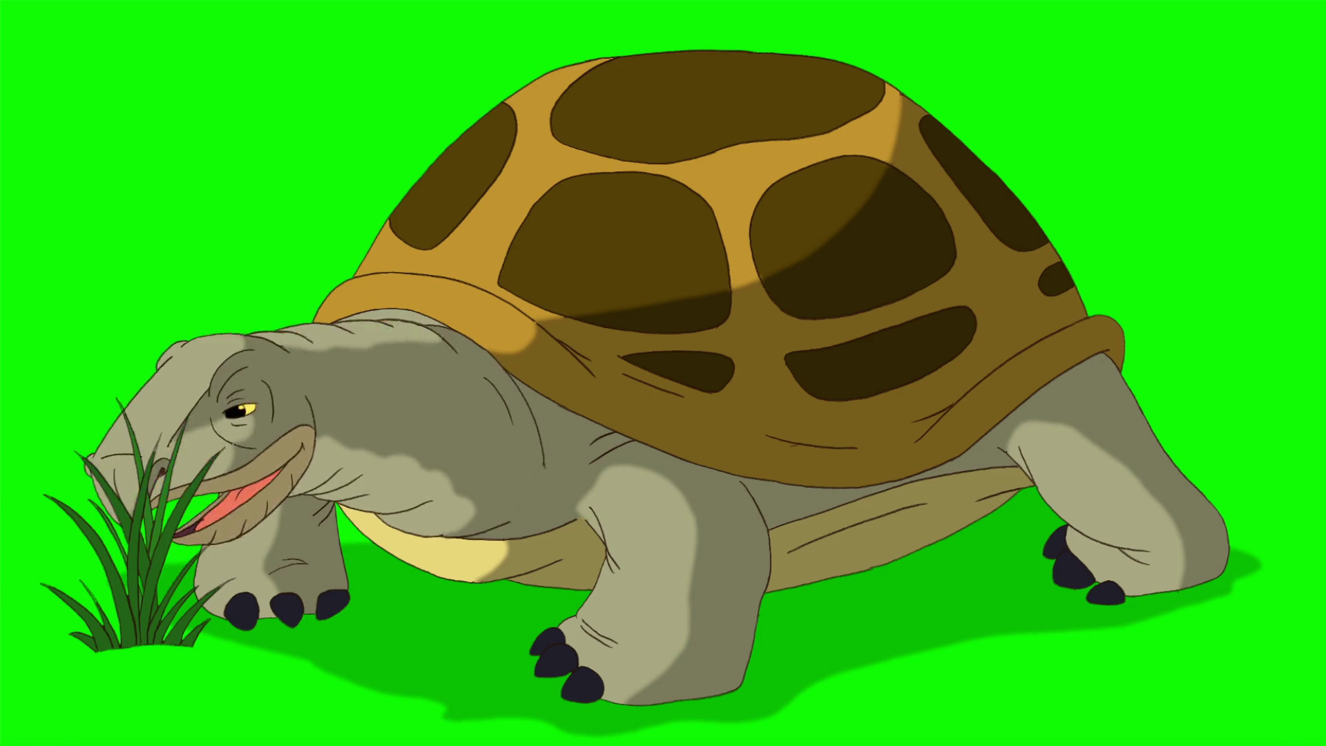 Large Yellow Elephant Turtle Eating Grass Stock Motion Graphics SBV ...