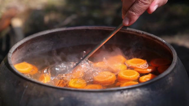 Carrot | Animals stock footage - Storyblocks