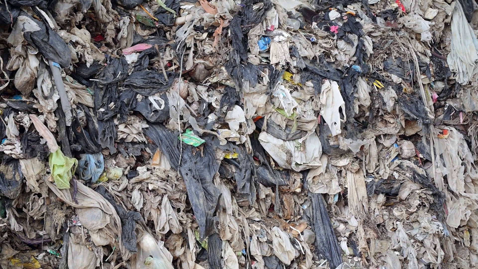 Closeup Garbage On Landfill Site Environment Stock Footage SBV ...