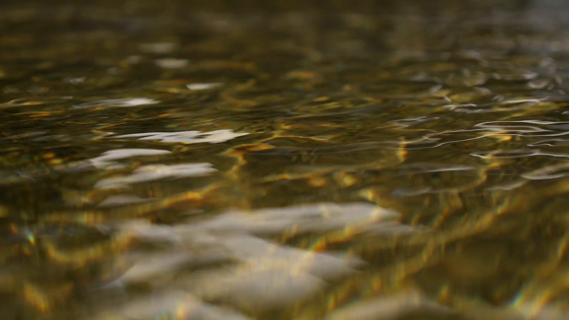 Ripple Water Surface In Pond Stock Footage SBV-312142131 - Storyblocks