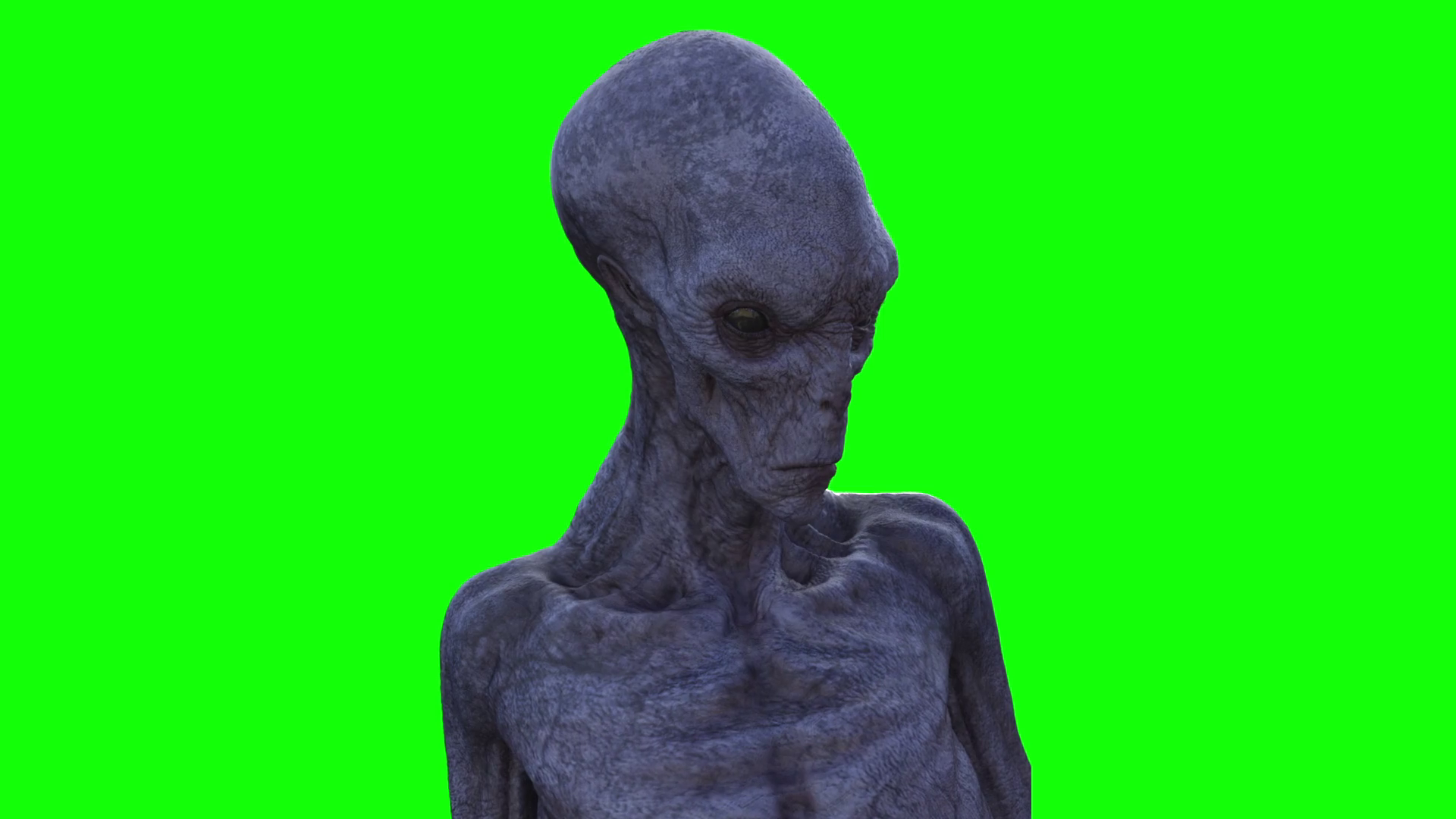 Realistic Alien Slowly Looks At Camera Green Stock Motion Graphics SBV ...