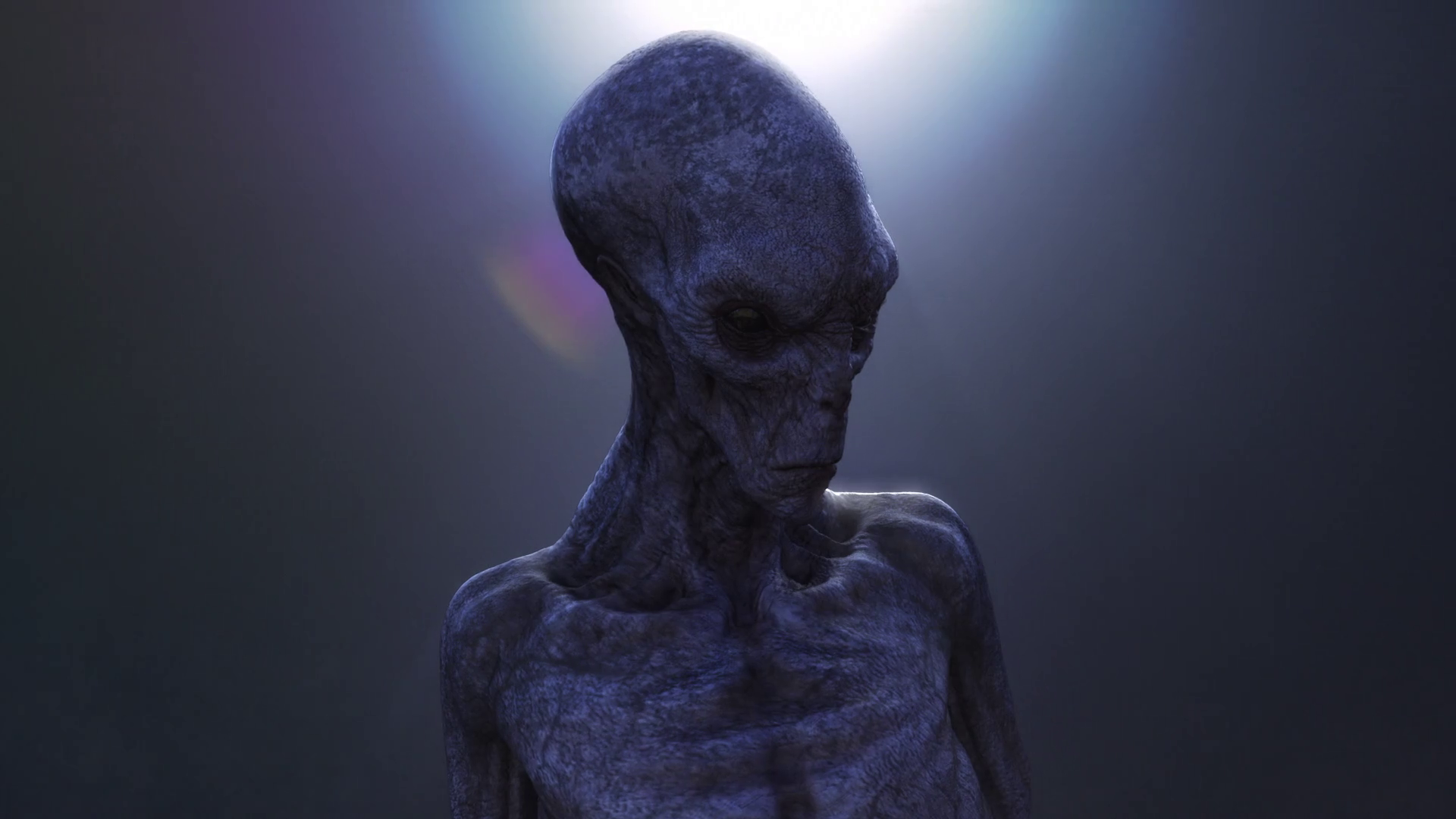 Realistic Alien Slowly Looks At Camera Stock Motion Graphics SBV ...