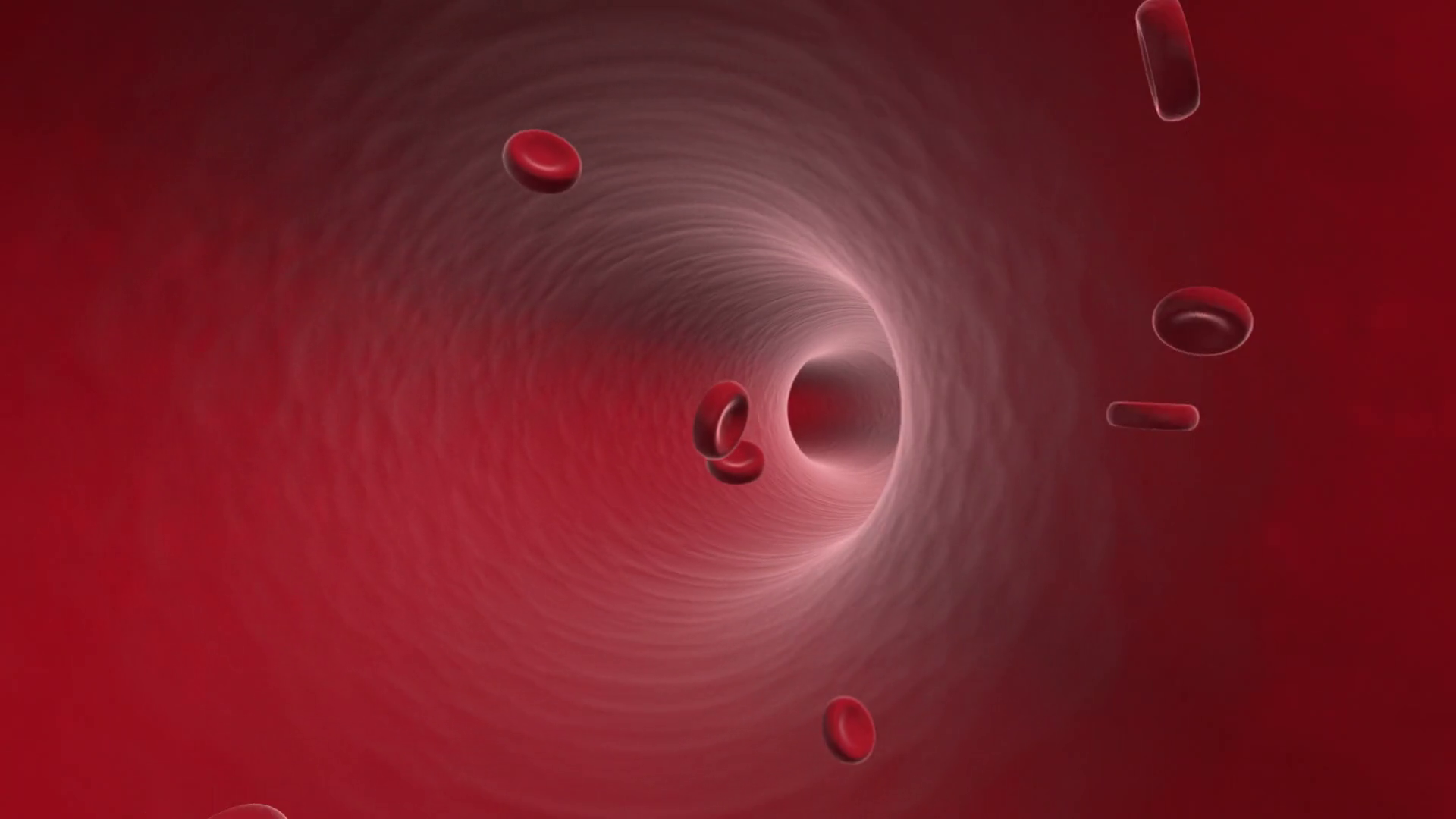 Red Blood Cells Swimming Inside Human Veins Stock Motion Graphics SBV ...