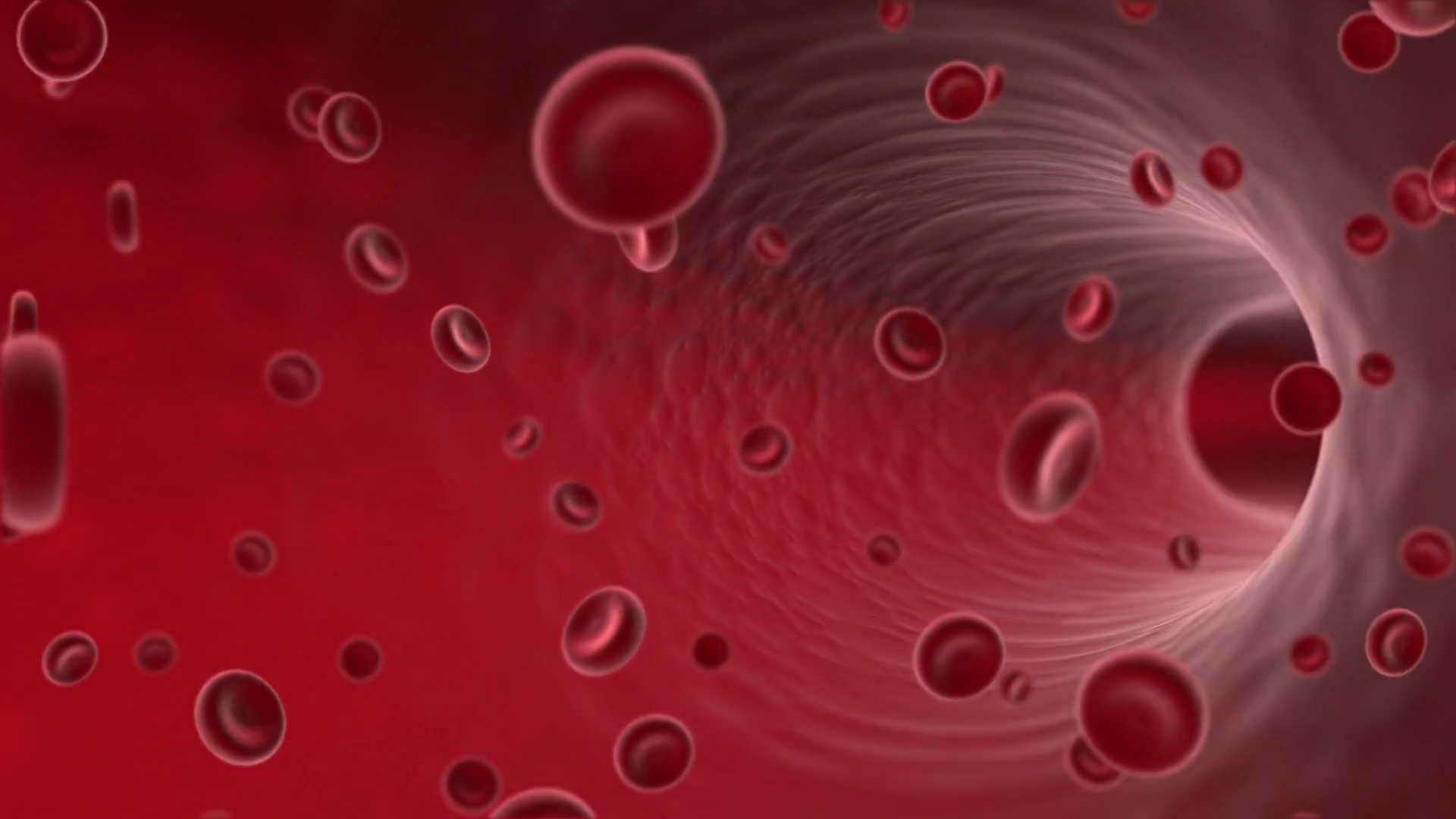 Camera Swimming or Flying inside Human Body along with Red Blood Cells ...