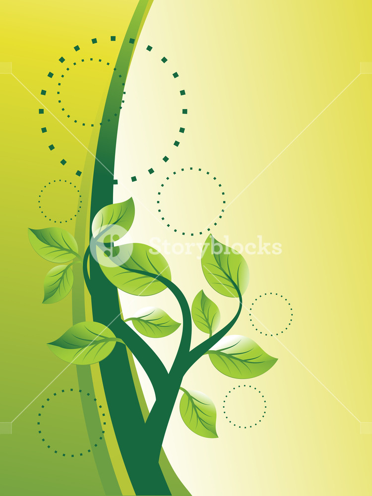 Abstract Nature Designs