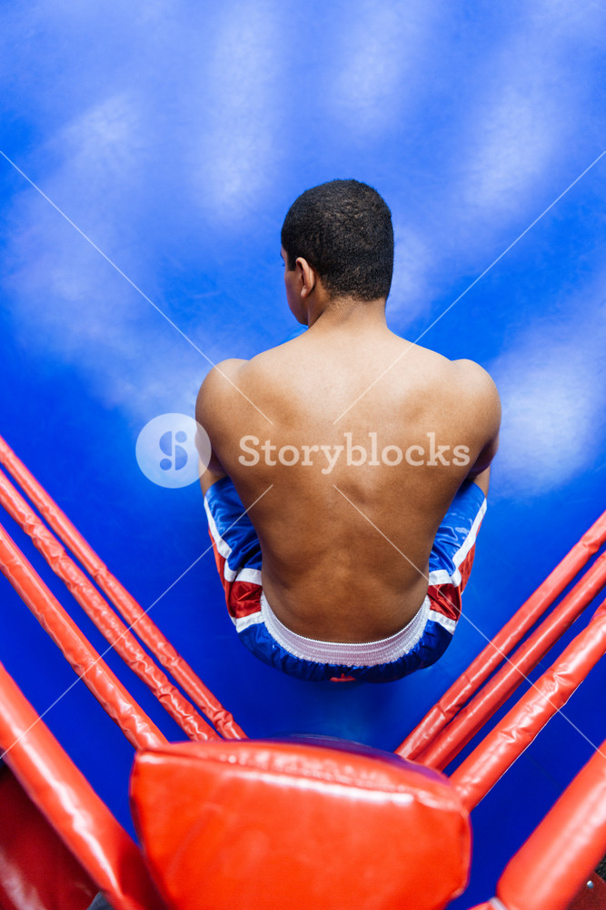 Back view portrait of a male boxer sitting in the corner of boxing ring ...