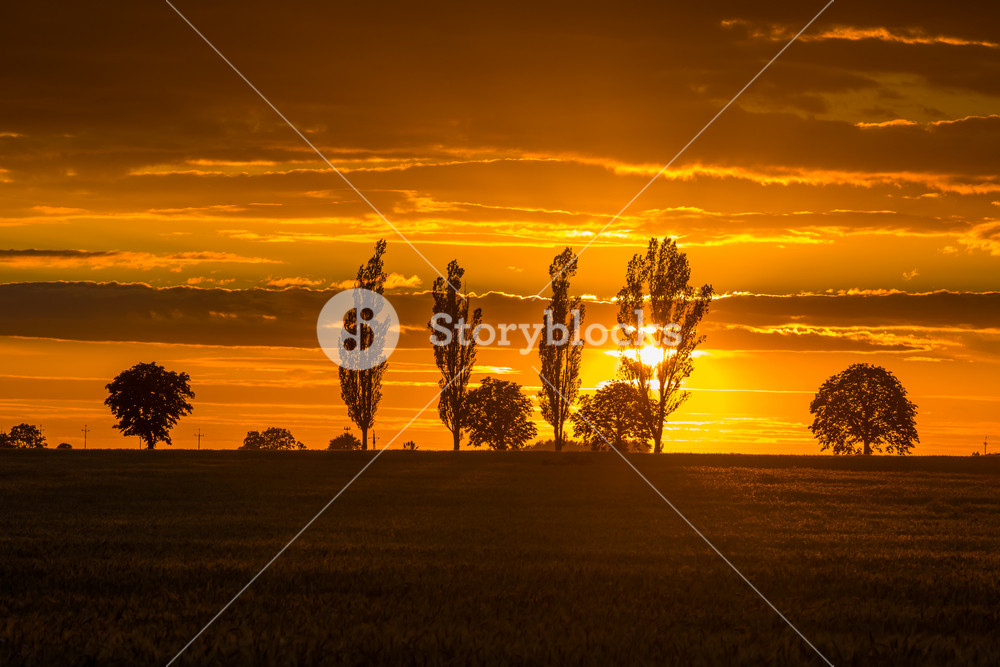 Beautiful summer sunset sky over countryside. Landscape with orange ...