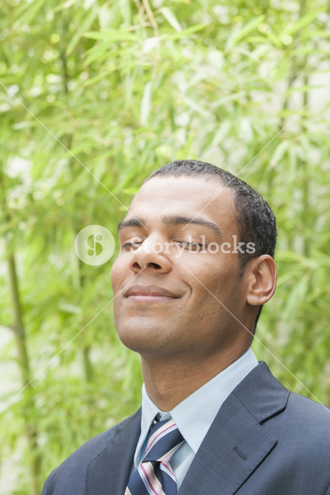 Business person with bamboo Royalty-Free Stock Image - Storyblocks