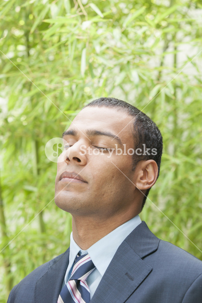 Business person with bamboo Royalty-Free Stock Image - Storyblocks