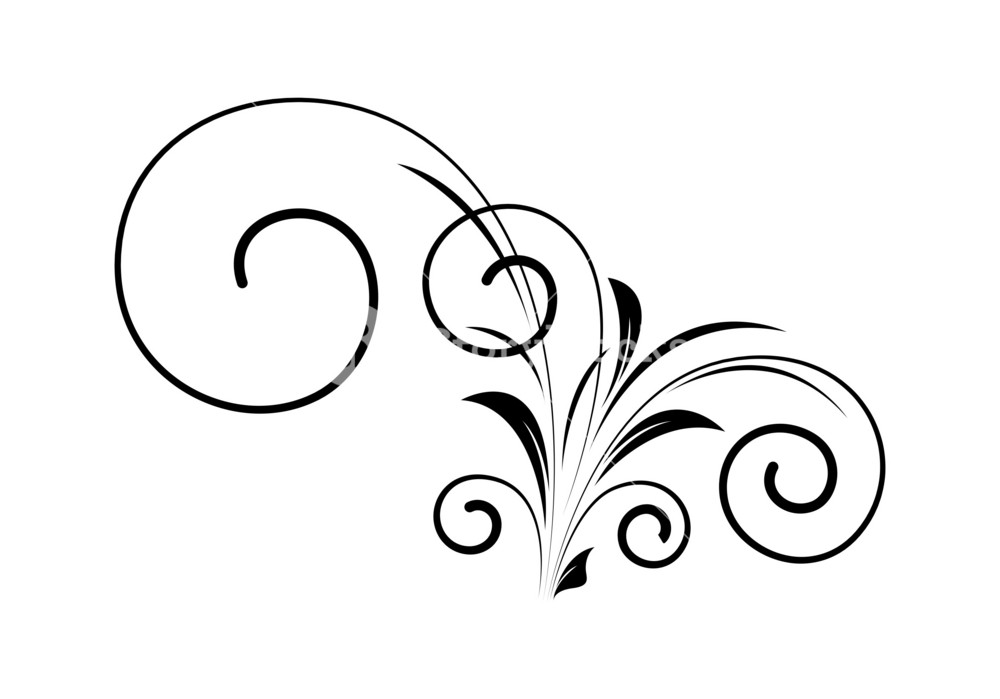 Decorative Floral Design Element Vector Royalty-Free Stock Image ...