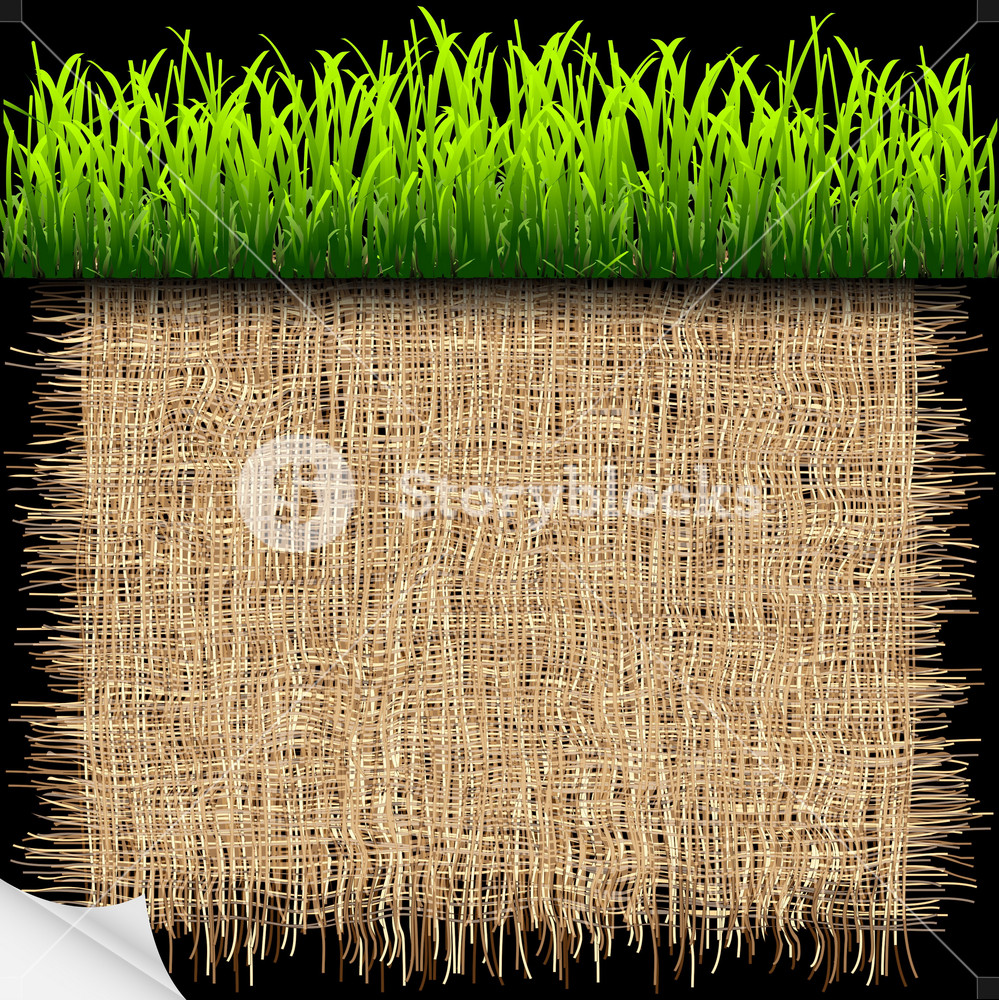 Eco Background With Green Grass Royalty-Free Stock Image - Storyblocks
