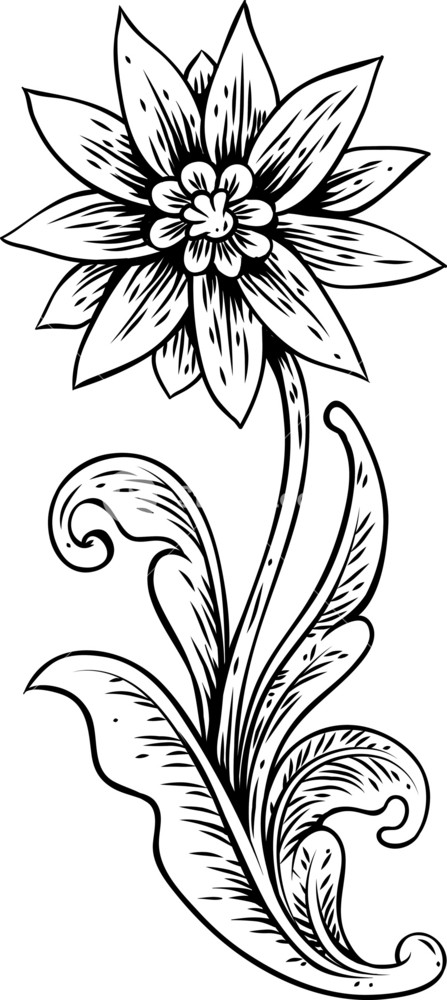 Engraved Floral Vector Element Royalty-Free Stock Image - Storyblocks