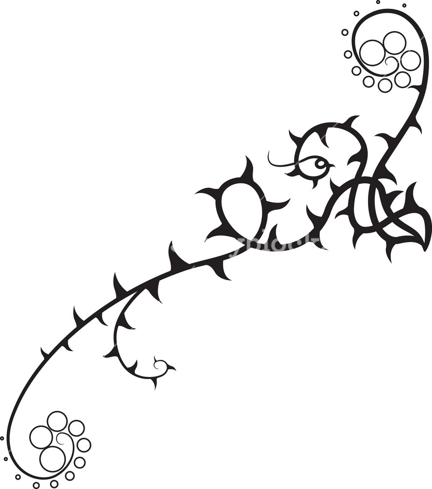 Floral Thorn Vector Element Royalty-Free Stock Image - Storyblocks
