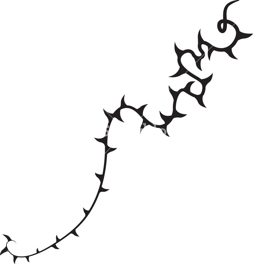 Floral Thorn Vector Element Royalty-Free Stock Image - Storyblocks