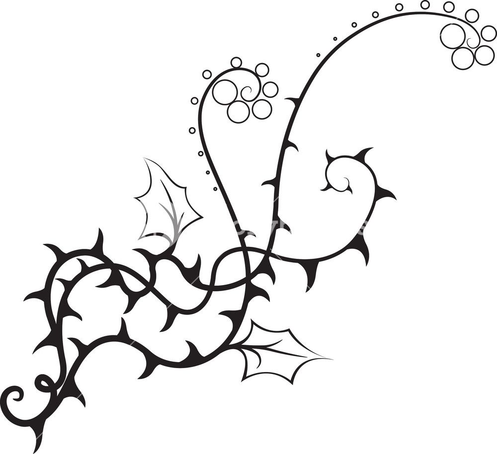 Floral Thorn Vector Element Royalty-Free Stock Image - Storyblocks