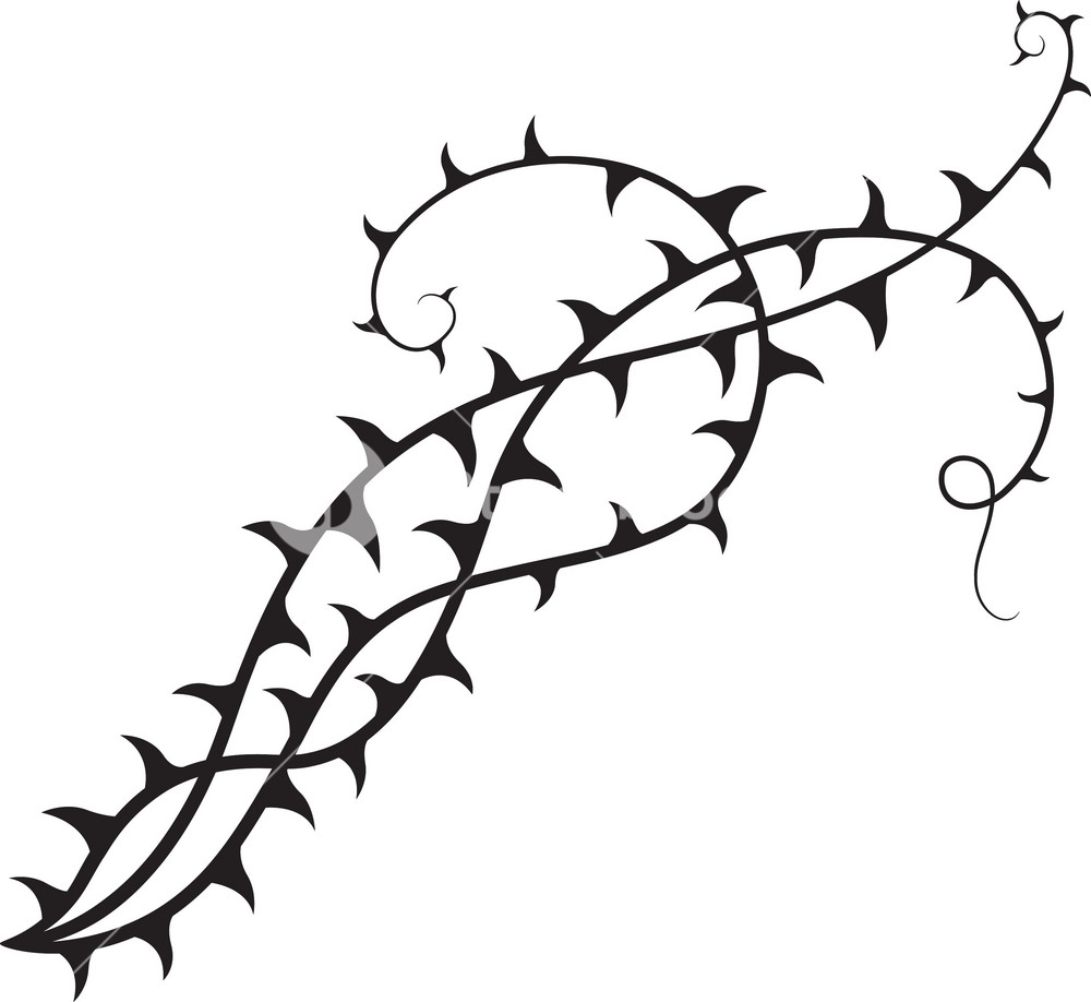 Floral Thorn Vector Element Royalty-Free Stock Image - Storyblocks