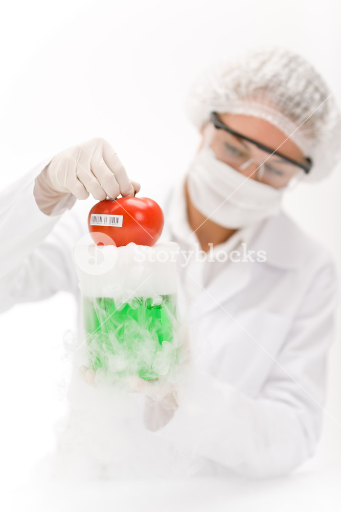 Genetic engineering - scientist in laboratory,GMO testing experiment ...