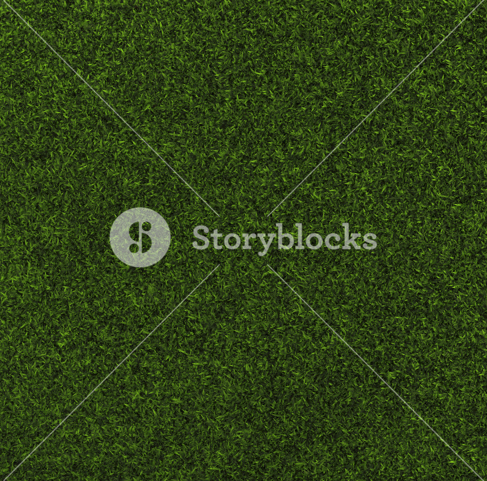 Green Grass Royalty-Free Stock Image - Storyblocks