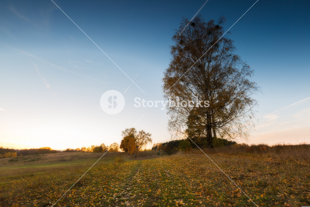 Autumnal landscape with trees and countryside photographed at sunset ...