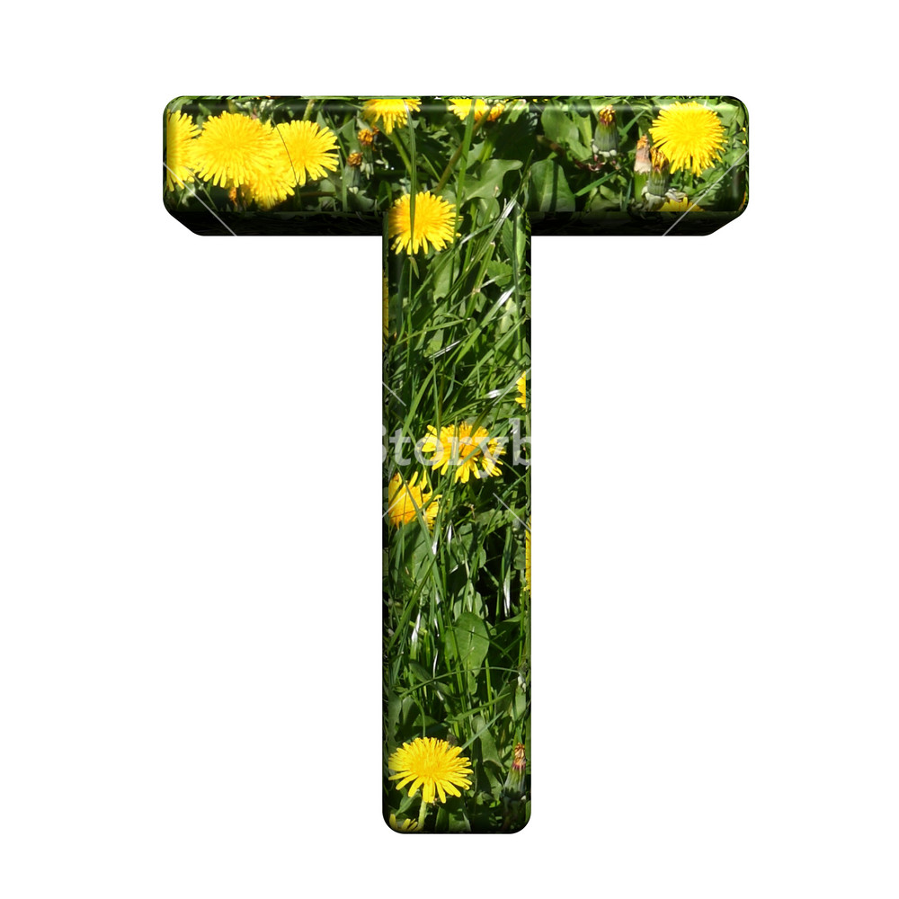 One Letter From Floral Alphabet Set Royalty-Free Stock Image - Storyblocks