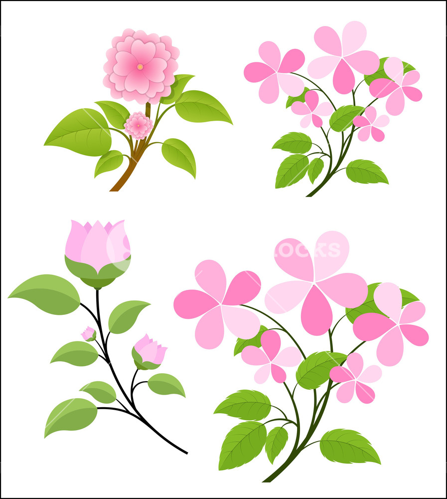 Set Of Vector Flowers Royalty-Free Stock Image - Storyblocks