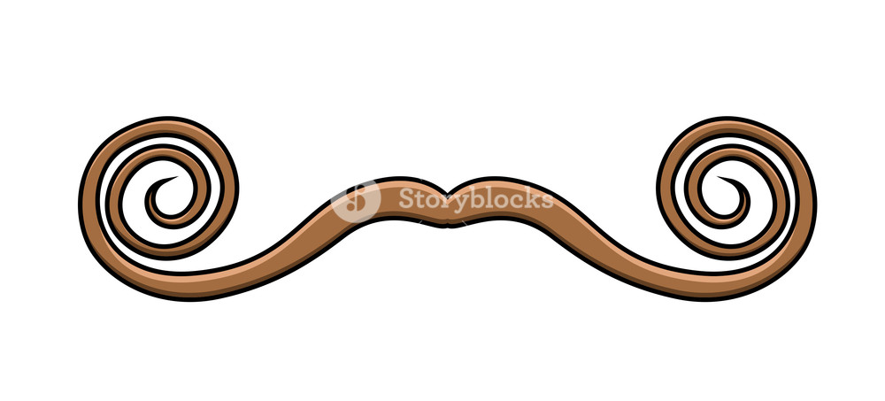 Spiral Moustaches Royalty-Free Stock Image - Storyblocks