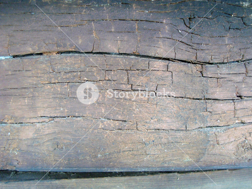 Timber_texture Royalty-Free Stock Image - Storyblocks