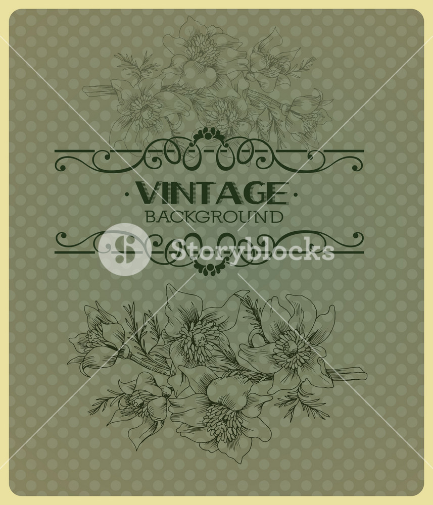 Vintage Vector Illustration With Spring Flowers Royalty-Free Stock ...