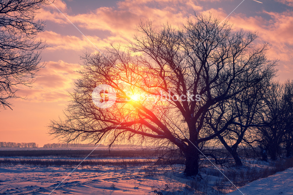 Winter rural landscape at sunset Royalty-Free Stock Image - Storyblocks